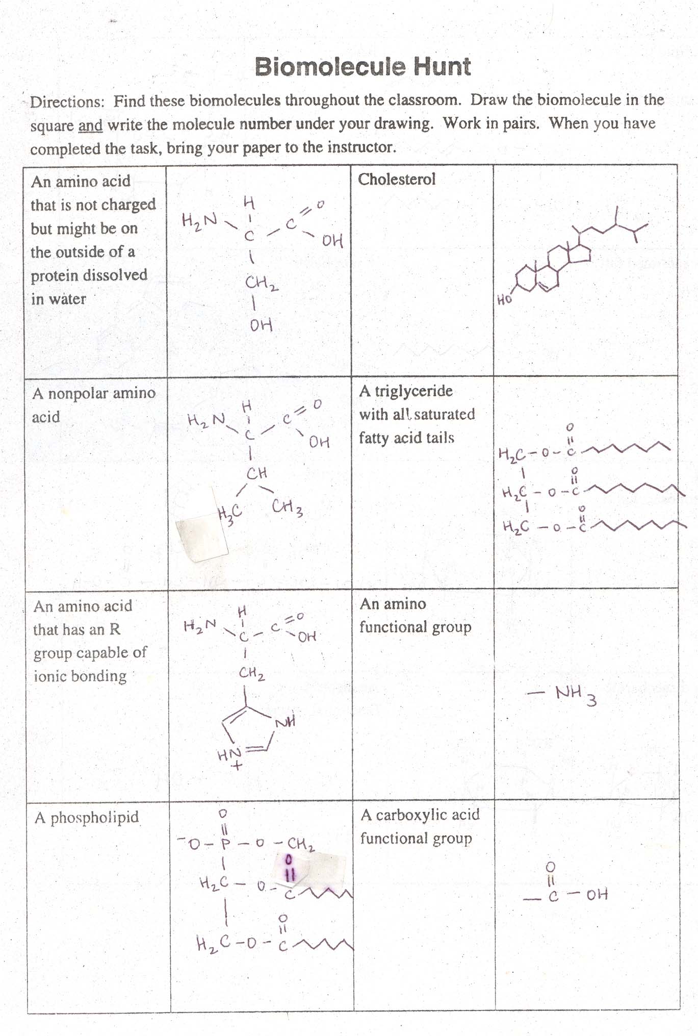 Biomolecules questions and answers Xylindya Biomolecules questions and answers Xylindya